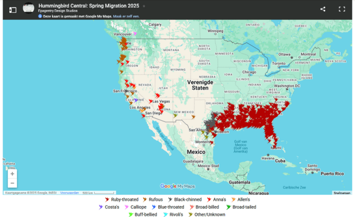 The return of the hummingbird – GeoSpatialSense